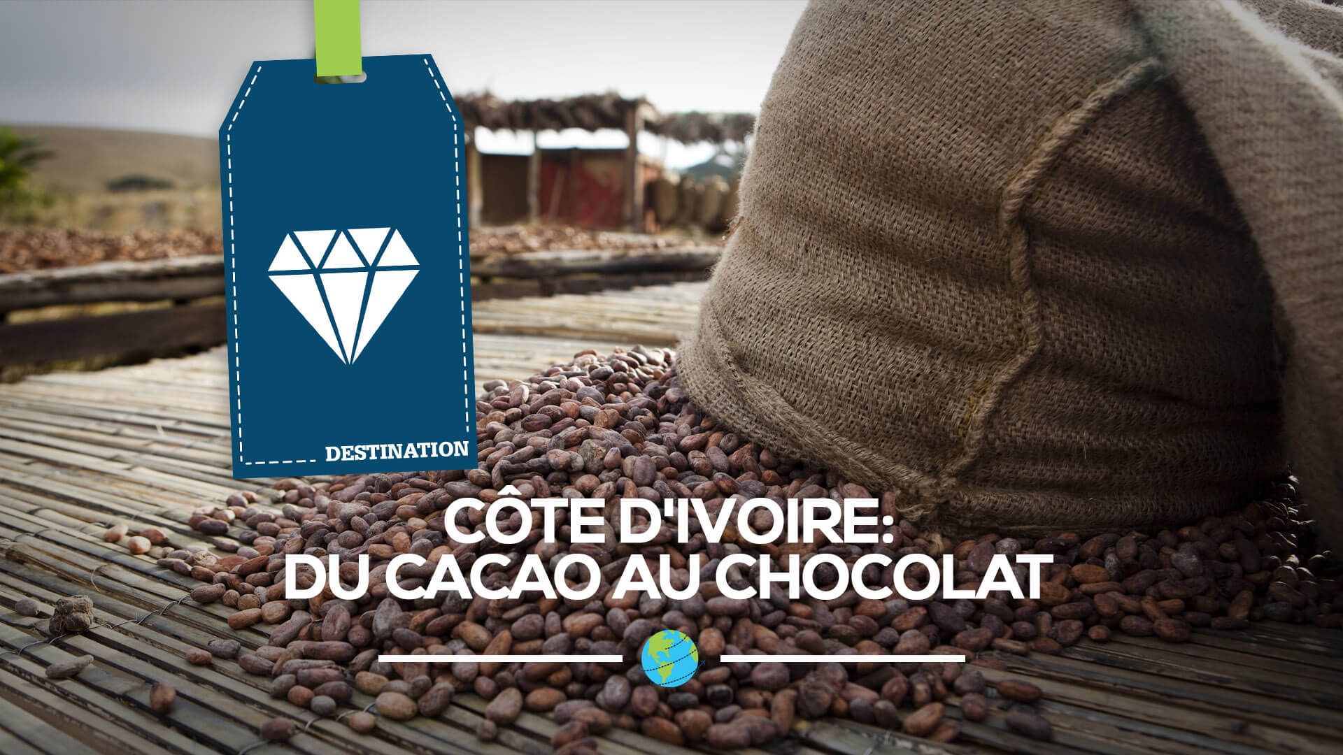 Côte d'Ivoire : Du cacao au chocolat - Profession Voyages