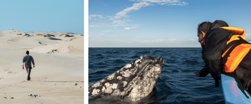 Ponant lance une exploration inédite avec les communautés locales de ...