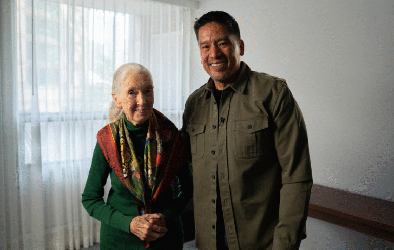 « Le monde a perdu un ange » : hommage de Bruce Poon Tip à Jane Goodall ...